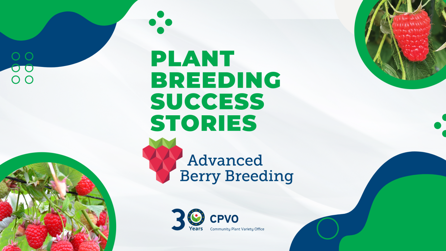 Home - Advanced Berry Breeding